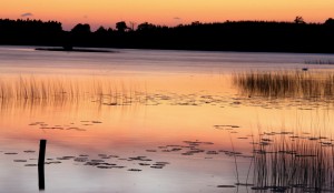 Banagher - Discover the Shannon